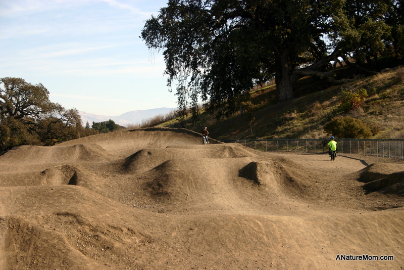 BMX Fun, Memorial Park, San Ramon – Suburban Nature Explorations