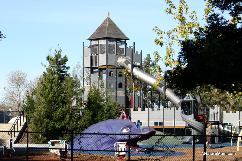 Fun! Magic Mountain Playground, San Mateo – Suburban Nature Explorations