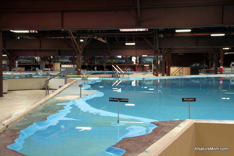 Sausalito: San Francisco Bay-Delta Model – Suburban Nature Explorations