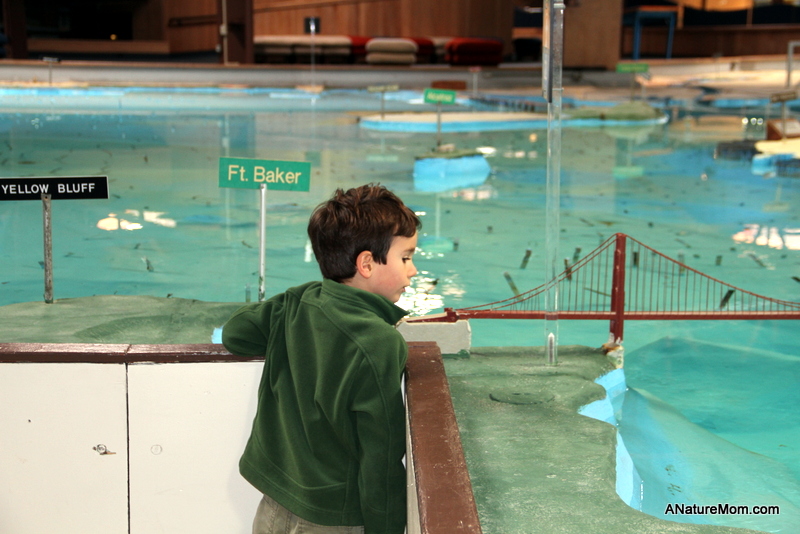 Sausalito: San Francisco Bay-Delta Model – Suburban Nature Explorations