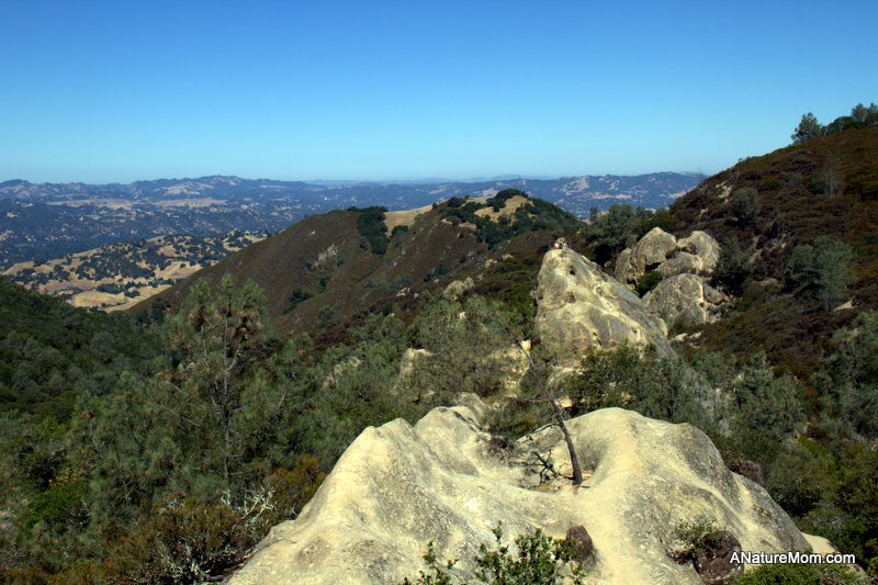 Camping Mount Diablo 011 – Suburban Nature Explorations